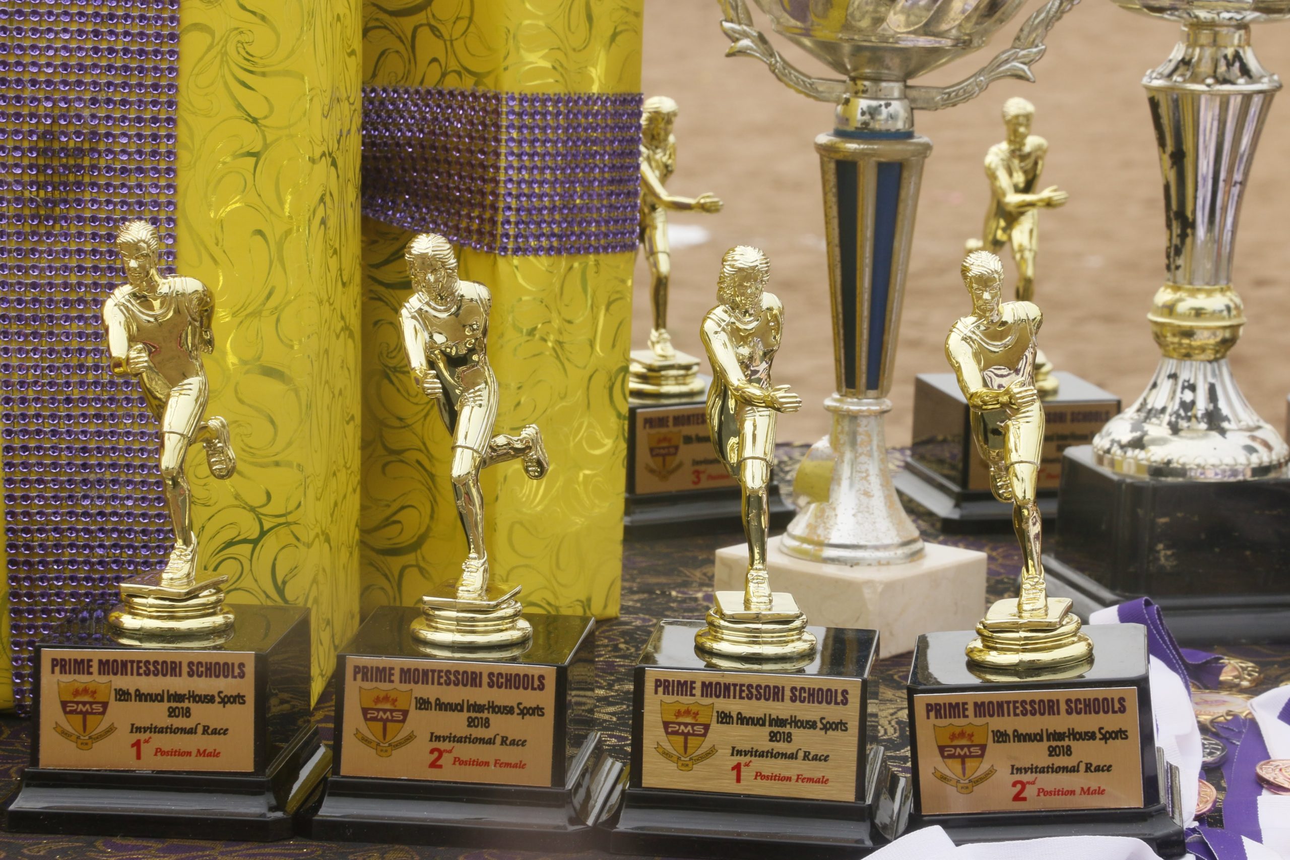 Sports & Activities – Prime Montessori